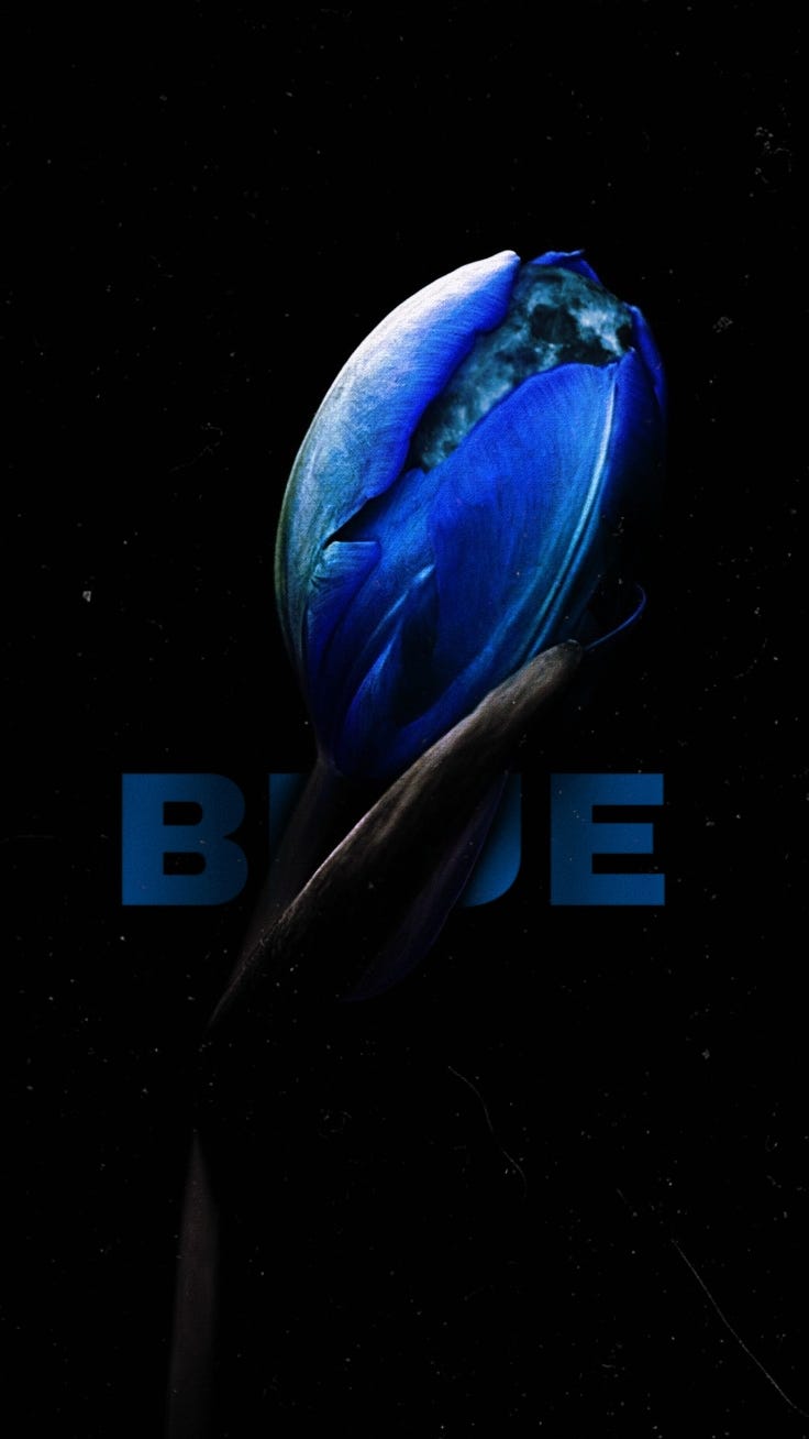 “Still Be the Blue”. — Eldrex Delos Reyes Bula | by Eldrex Delos Reyes ...