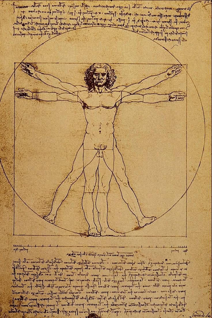 What Leonardo da Vinci Knew About Systems Thinking (And Why It Matters ...