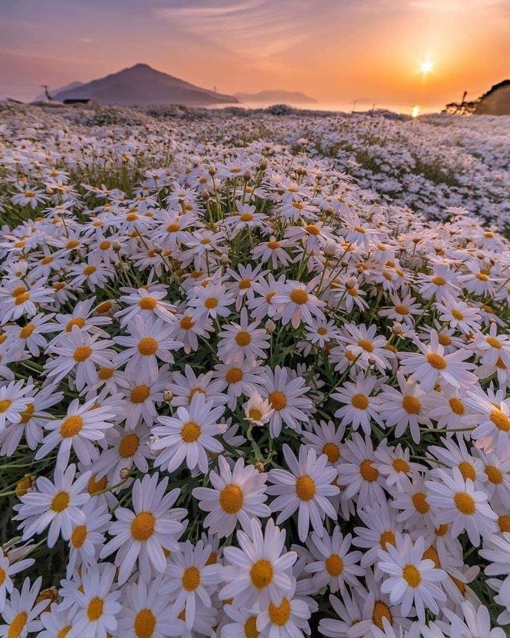 Hiii, I hope who ever is reading this enjoys this poem. Sending all the ...