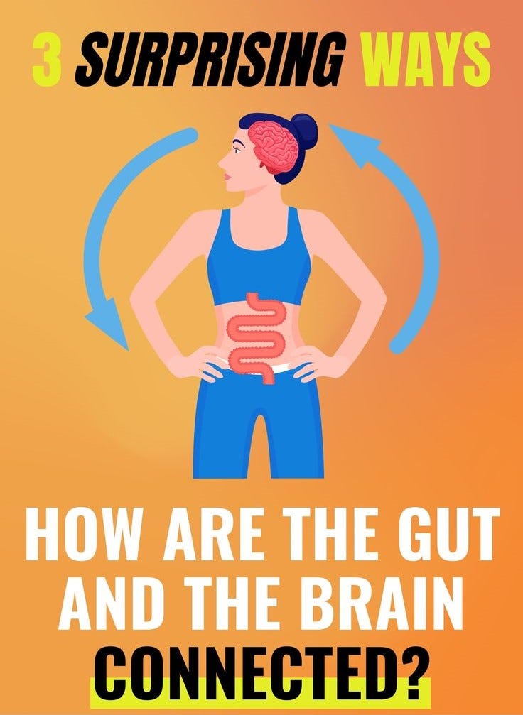 The Connection Between Gut and Brain | by DIGESTIVE DAILY | May, 2025 ...