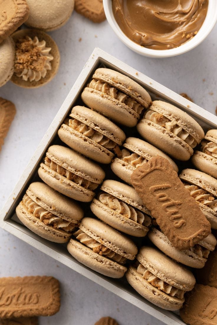 MACARON LOTUS BISKUIT BANDUNG !!! - Fachoco Macaron - Medium