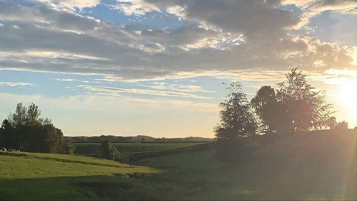 peace feels boring when you’re addicted to chaos | by mndsjedi | May ...