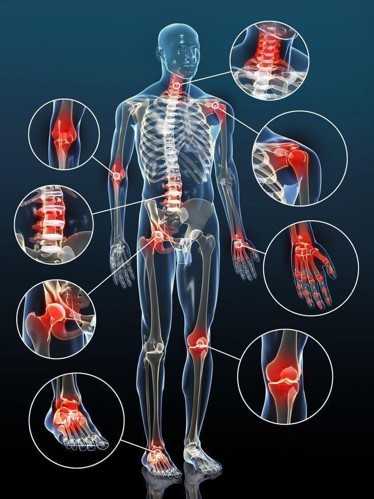 Joints of human body and their functions - Master mind♥️🌸 - Medium