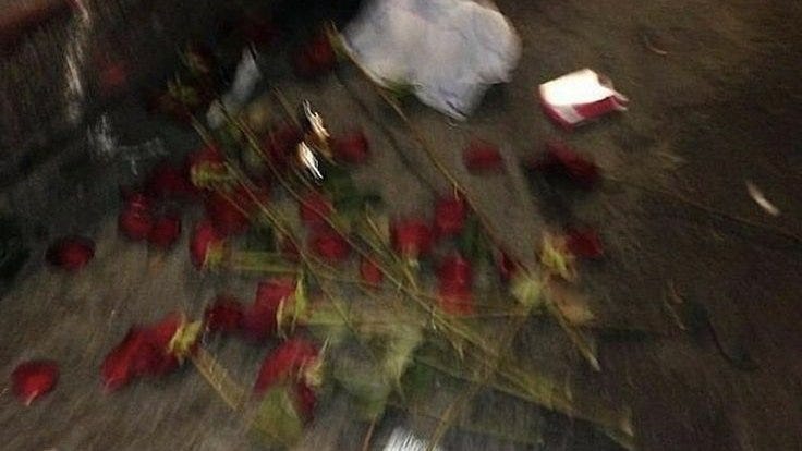 Tanahnya Sudah Penuh Mawar Merah. | by Dito | Jun, 2024 | Medium