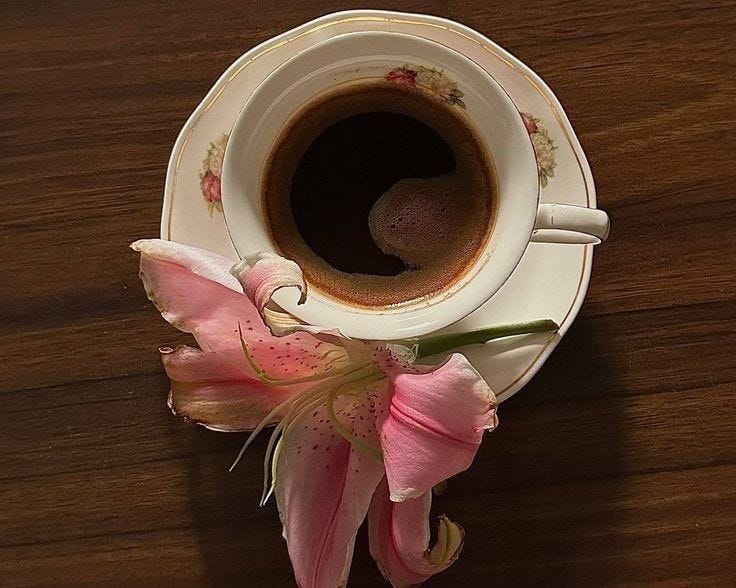 the kind of morning where nothing rushes, where even the sun seems to ...