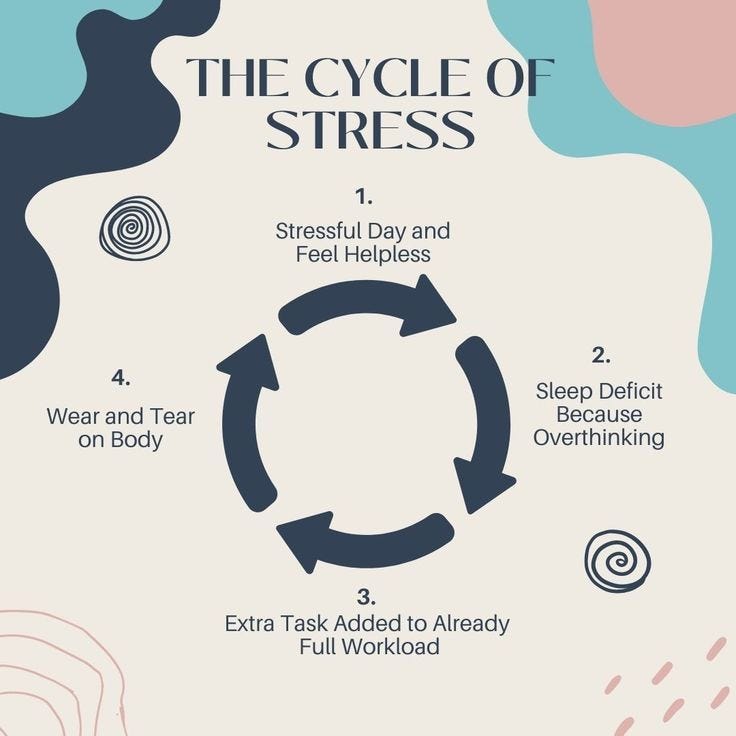 _The Impact of Stress on Gut Health and Mental Clarity: Breaking the Vicious Cycle_ | by Hina ...