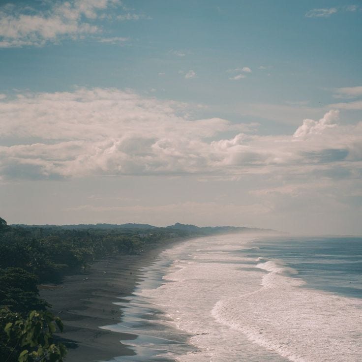 paubaya. “i’ll probably be a waste of your time… | by jie | Nov, 2025 ...
