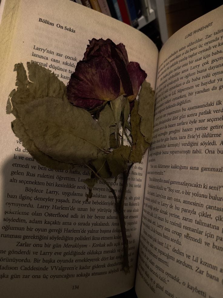 That beautiful dry rose….. Imperfectly perfect | by Anushka | Writers ...