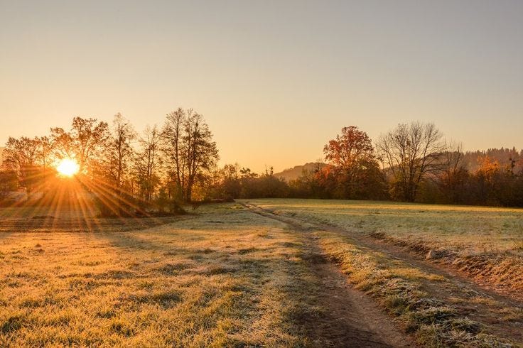 2024, no more wasted year.. That’s my affirmation for this year. | by Inge Gustiarni | Jan, 2024 ...