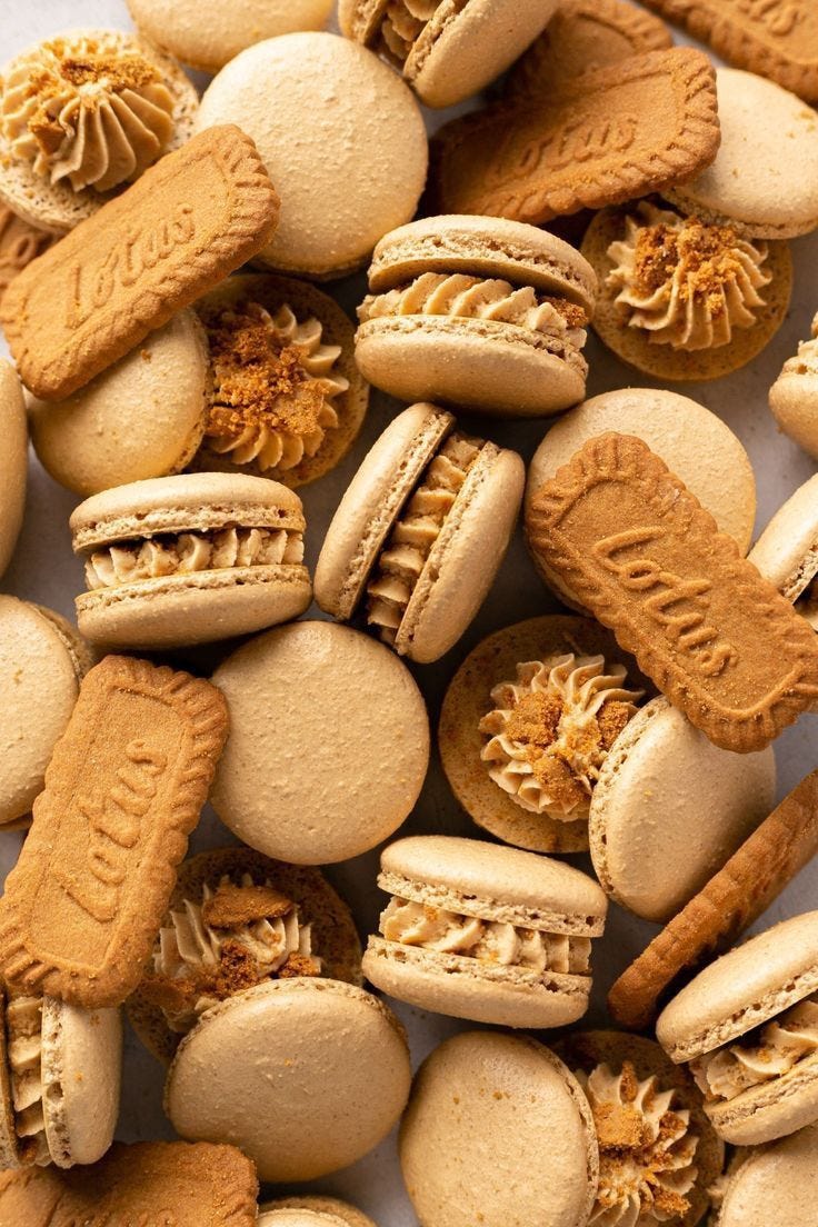 MACAROON LOTUS BISKUIT BANDUNG !!! JUAL - Fachoco Macaron - Medium