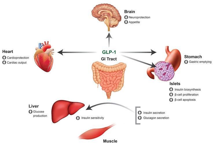 GLP-1 Receptor Agonists: A Potential Treatment for Type 2 Diabetes | by ...