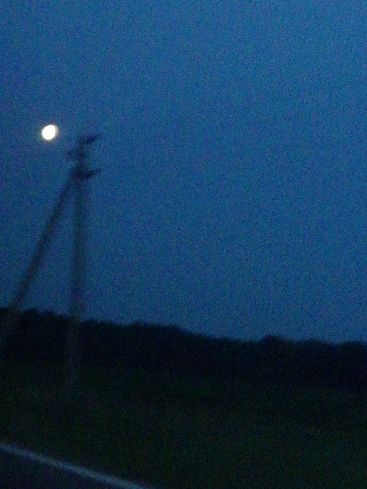 unsaid thoughts.. a poem. | by Maverick Sim | Dec, 2024 | Medium