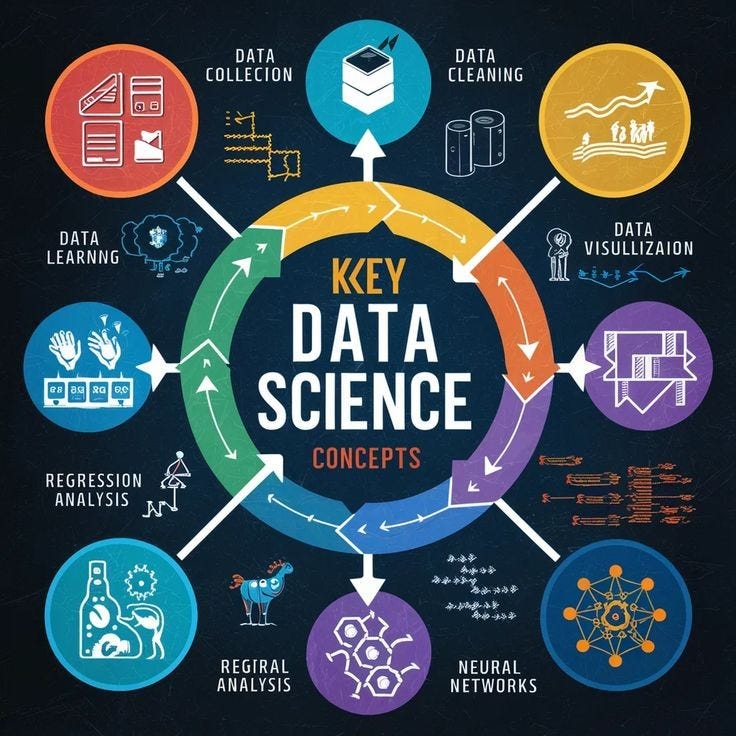 Data Science versus Econometrics. Data Science | by Laraib Asif | Medium