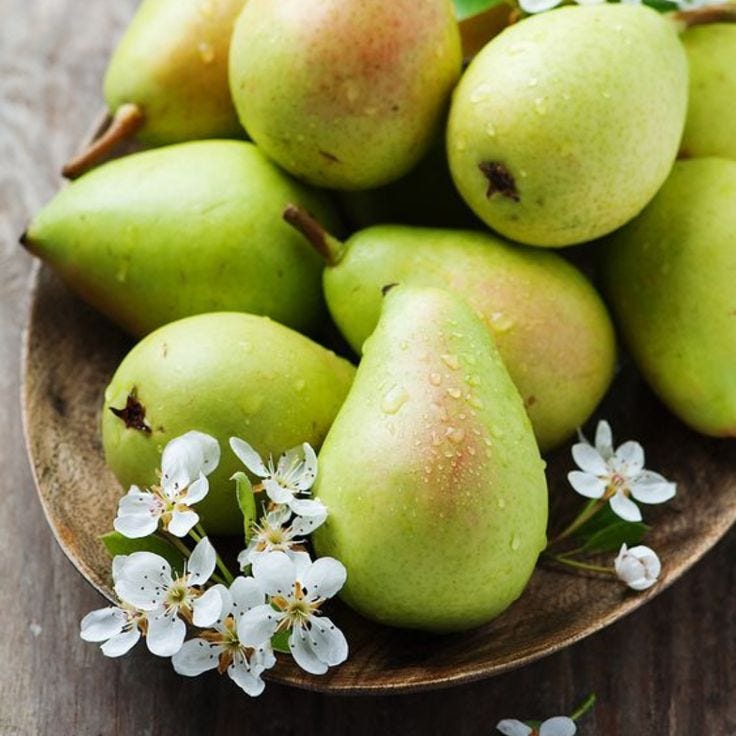Pear fruits Pressure. Pear fruits Pressure | by sandyaaˇ｡♡• | Nov, 2024 ...