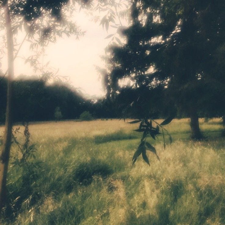 The peace of not knowing. There is bliss in ignorance. | by ⋆｡‧˚ʚ rain ...