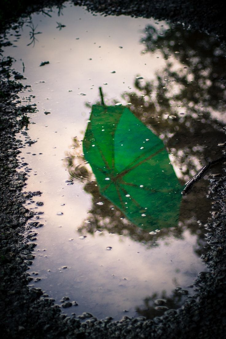 Berdeng Payong. One shot story | by Kamimoto | Oct, 2024 | Medium