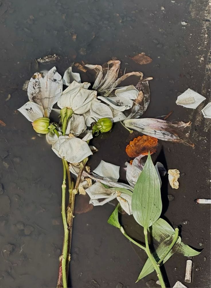 Beautiful Pieces - Oji Uchenna Deborah - Medium