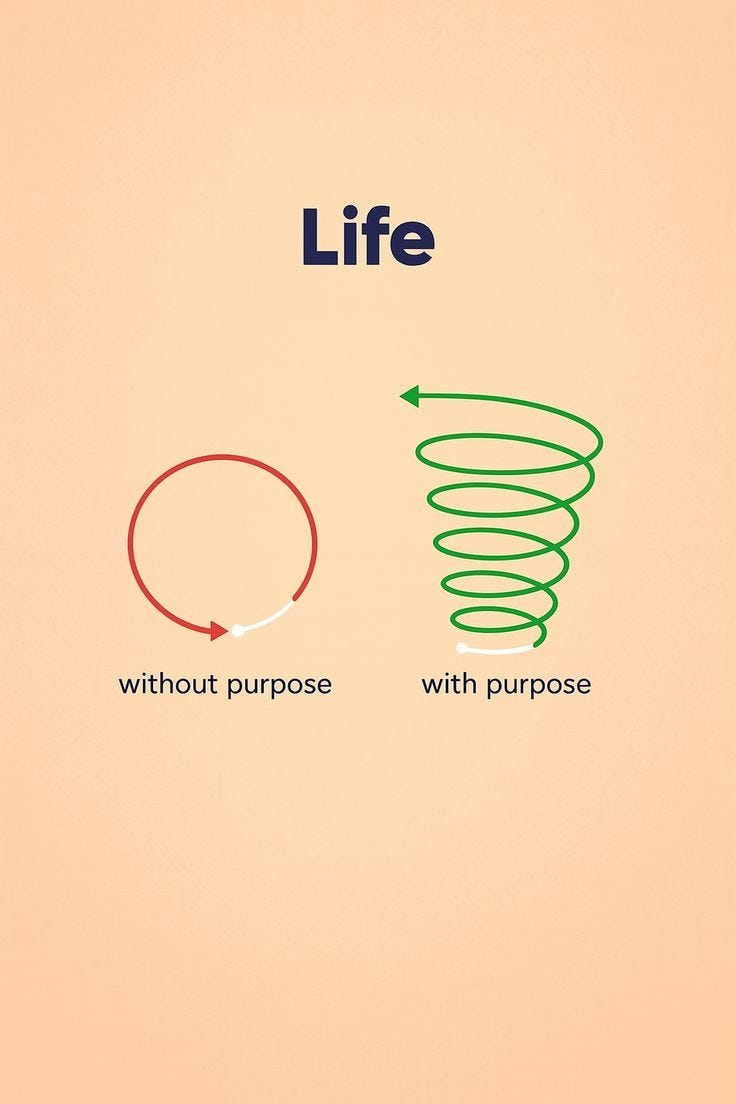 Universe demands a life with purpose | by Muhammad Adil Zulfiquar | Jan ...
