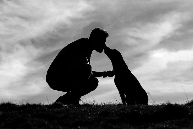**The Unwavering Loyalty of Dogs: A Bond Beyond Words** | by Mohsin ...