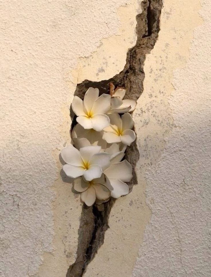 May Flowers Bloom Within Your Wounds | by Dee | Medium