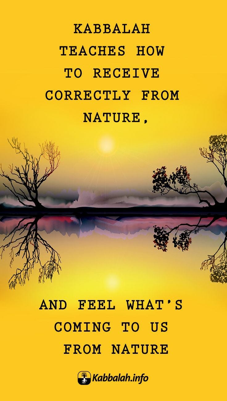 Learning how to relate to Nature through lessening how to properly ...