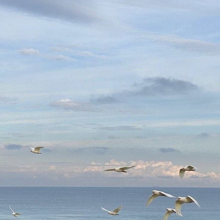 my dear daisy | by jojo | Medium