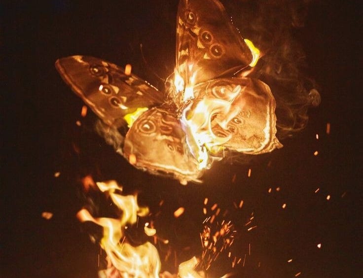 a moth to a flame. if this is what it means to love you… | by rick | Medium