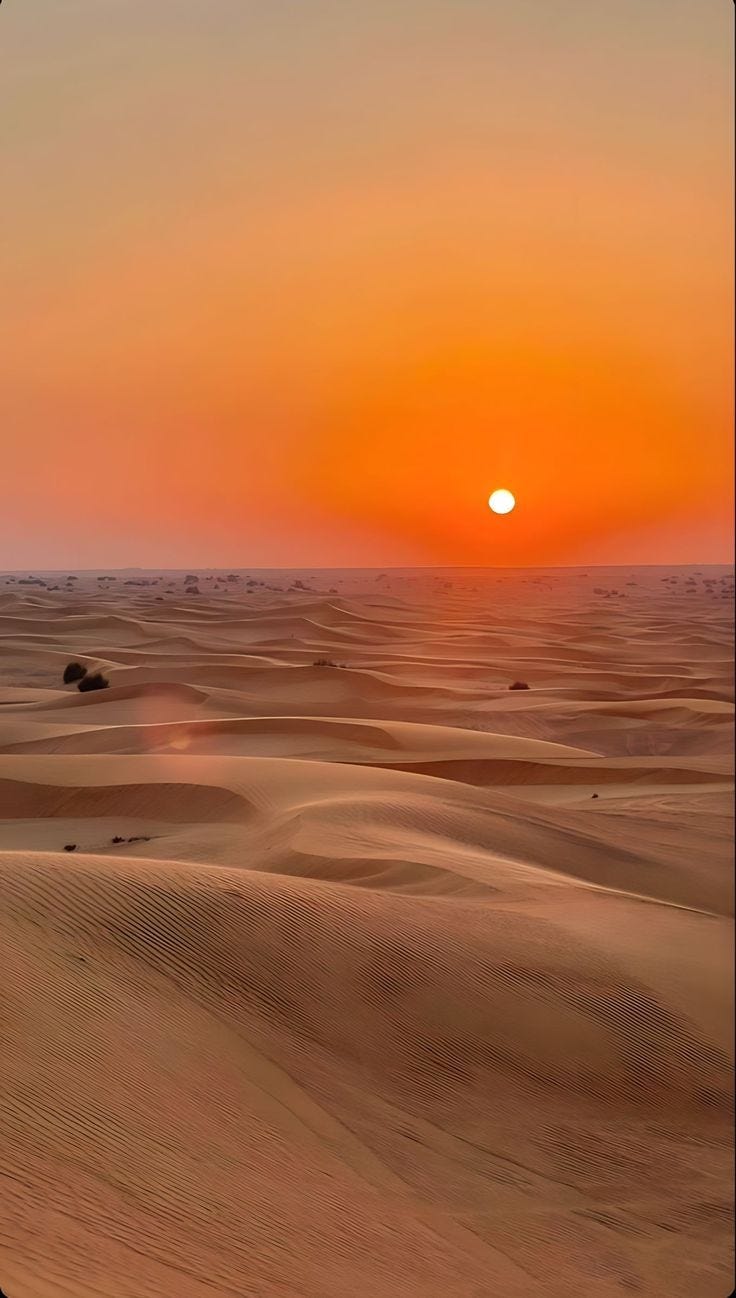 Dear Desert,. a gentle wind surrounds me, carrying… | by Ilona | Apr ...