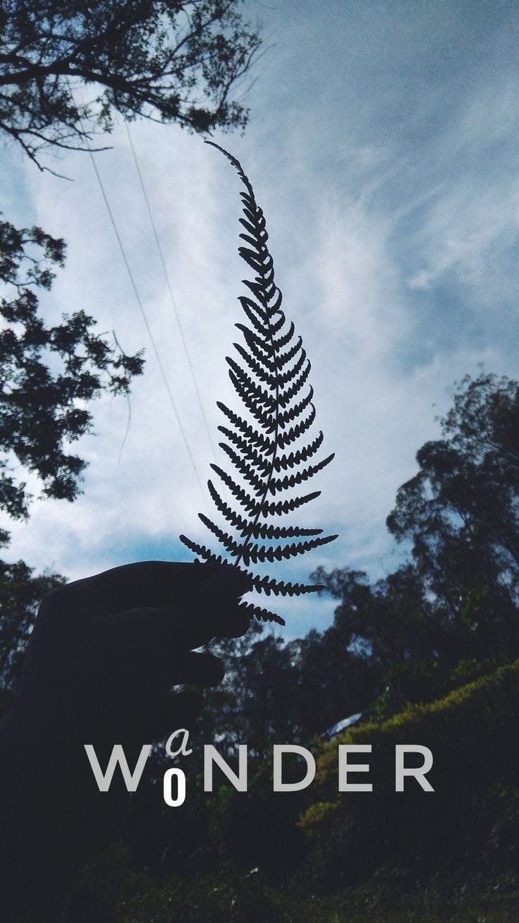 WANDERING WONDER.. Photo credit: Pinterest. | by Ugochithecla | Medium