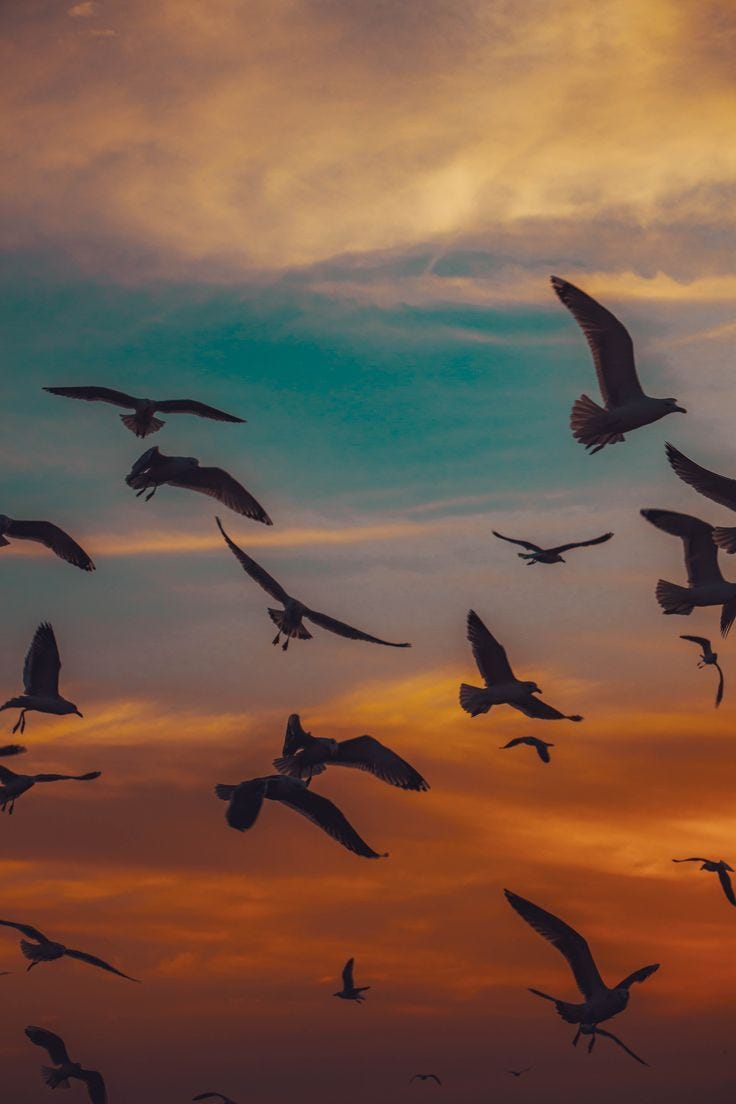 Passion to soar - Soul to Soul - Medium