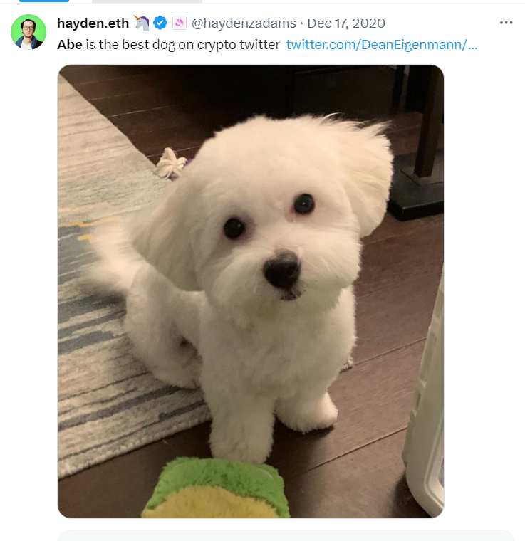Abe — Uniswap’s Dog. https://x.com/haydenzadams/status/133937… | by Abe ...