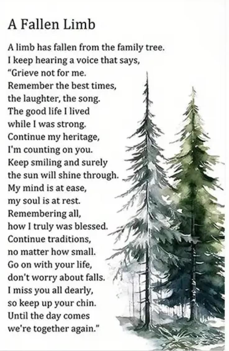 A Fallen Limb - Sally Frederick Johnson - Medium