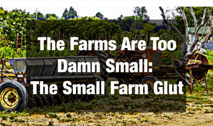 The Farms Are Too Damn Small: The Small Farm Glut | by The ...