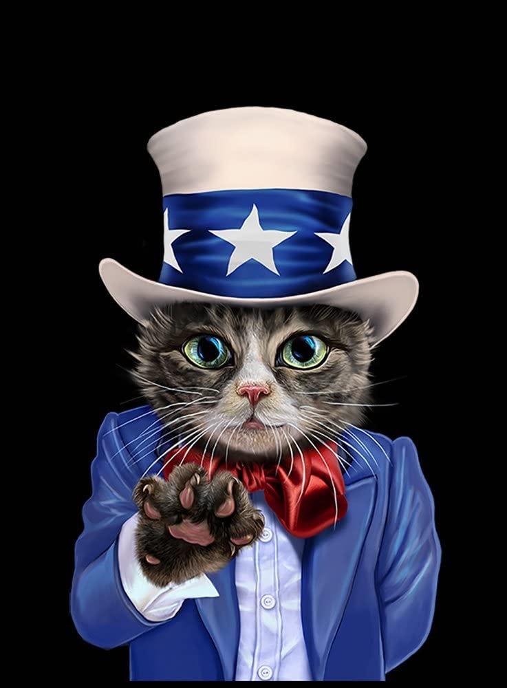 CAT.trade Needs You 🙀. The CAT.trade Protocol first aired our… | by CAT ...