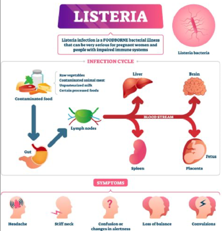 Transplacental Infections. AAAS: “Mapping placental infections.”… | by ...