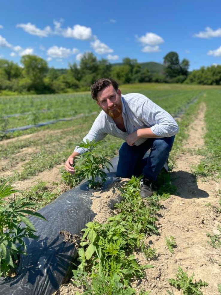 Weed Control. Aaron Ghitelman knows the cannabis… | by Hank Austin ...