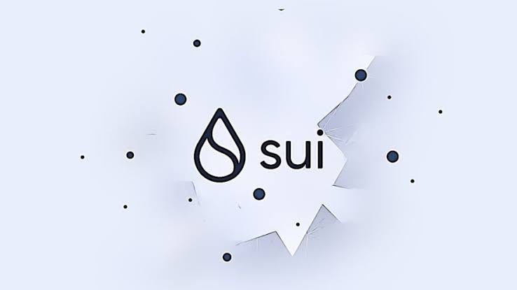 Sui Ecosystem; A Brief Breakdown About Sui. | by Ito blessing | Medium