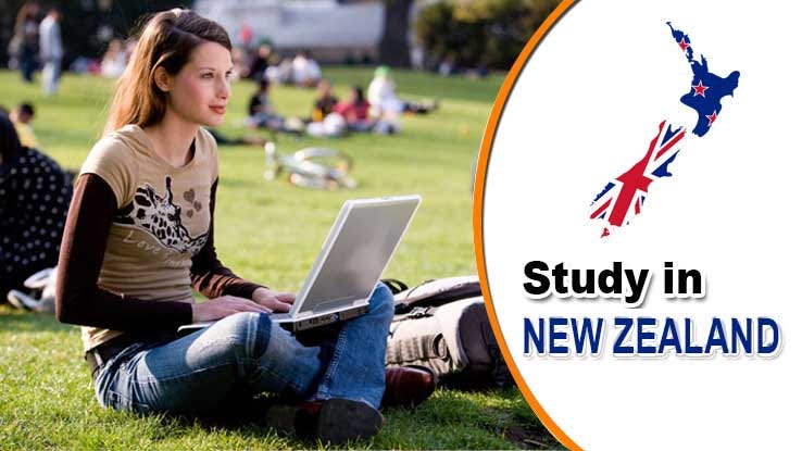 Tips For Students Studying In New Zealand | by Study Smart | Medium