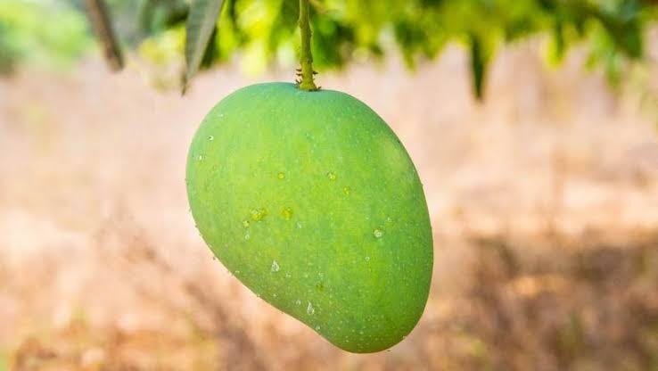 A hearty chat with the fruities! Episode 3 | by Tobi Fadairo | Medium