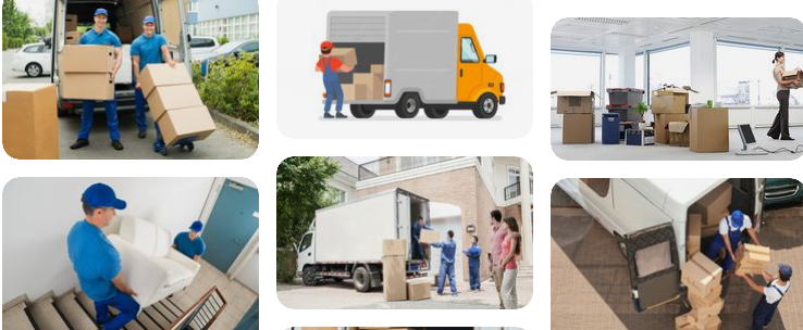 How do I move and find a new place to live? - King Cargo Shifting Solution - Medium