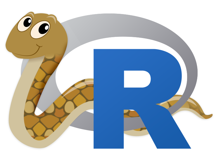 How to migrate your Python library to R programming language | by Mark ...
