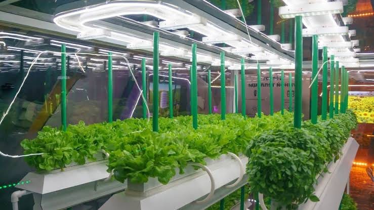 Meningkatkan Produktivitas Pertanian Lahan Sempit Dengan Metode ...