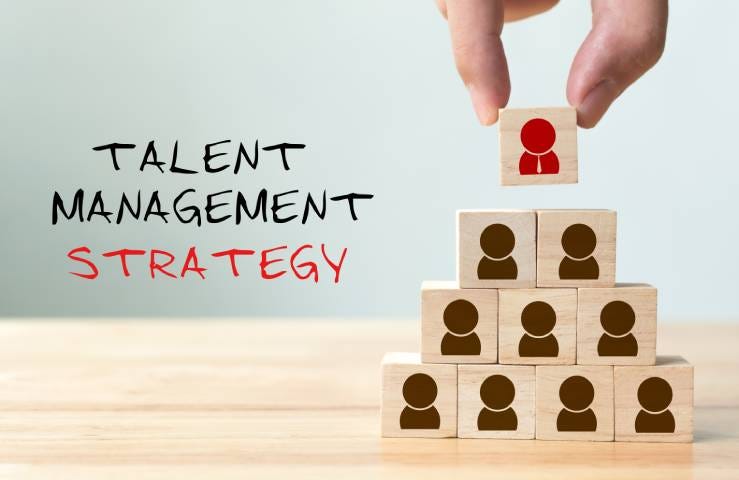 An overview of Examples of Talent Management Strategies | by Amelia ...