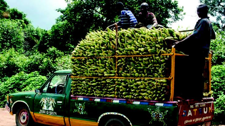 Road Transport: An Agricultural Issue or Not? | by Ochonogor Serena ...
