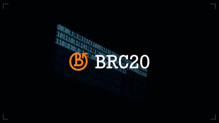 Exploring the BRC20 Network: Revolutionizing Blockchain Ecosystems | by ...