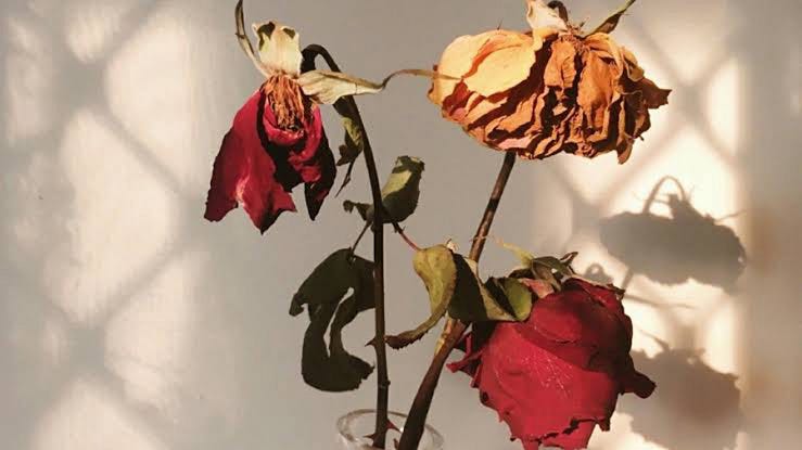 Withering away. Can we go back to a time when we had to… | by Anjali ...