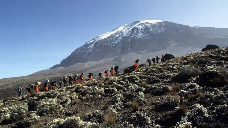 5Day Marangu Route Kilimanjaro Trekking | by Tanzania Kizza Adventures ...