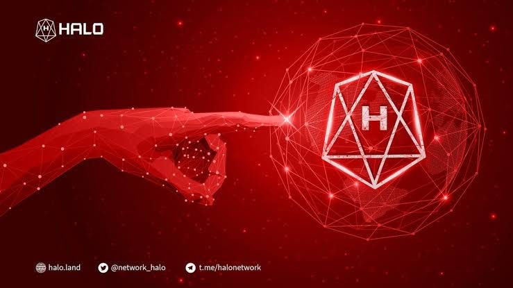 HALO NETWORK THE FUTURE EVERYONE NEED | by Elisha Jabani | Medium