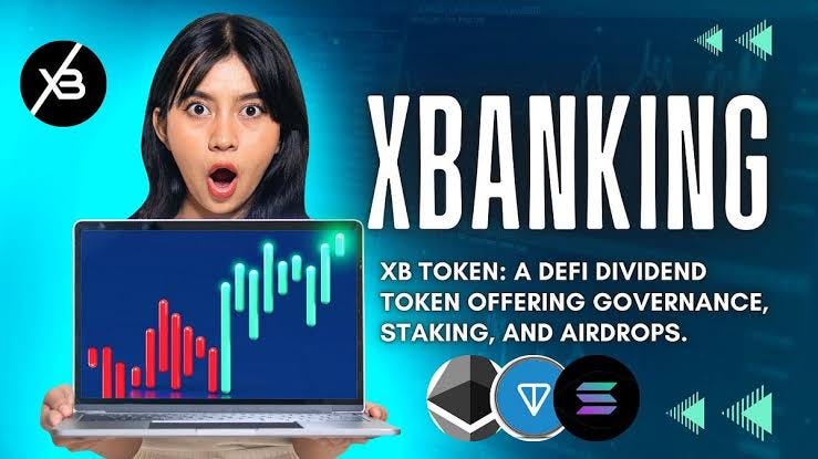 WHY XB TOKEN IS THE FUTURE OF DeFi DIVIDEND TOKENS | by Metalord | Nov ...