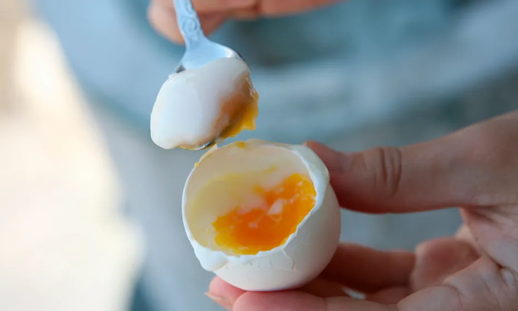 This can happen if you eat an egg every day | by Priya Gupta | Jul ...
